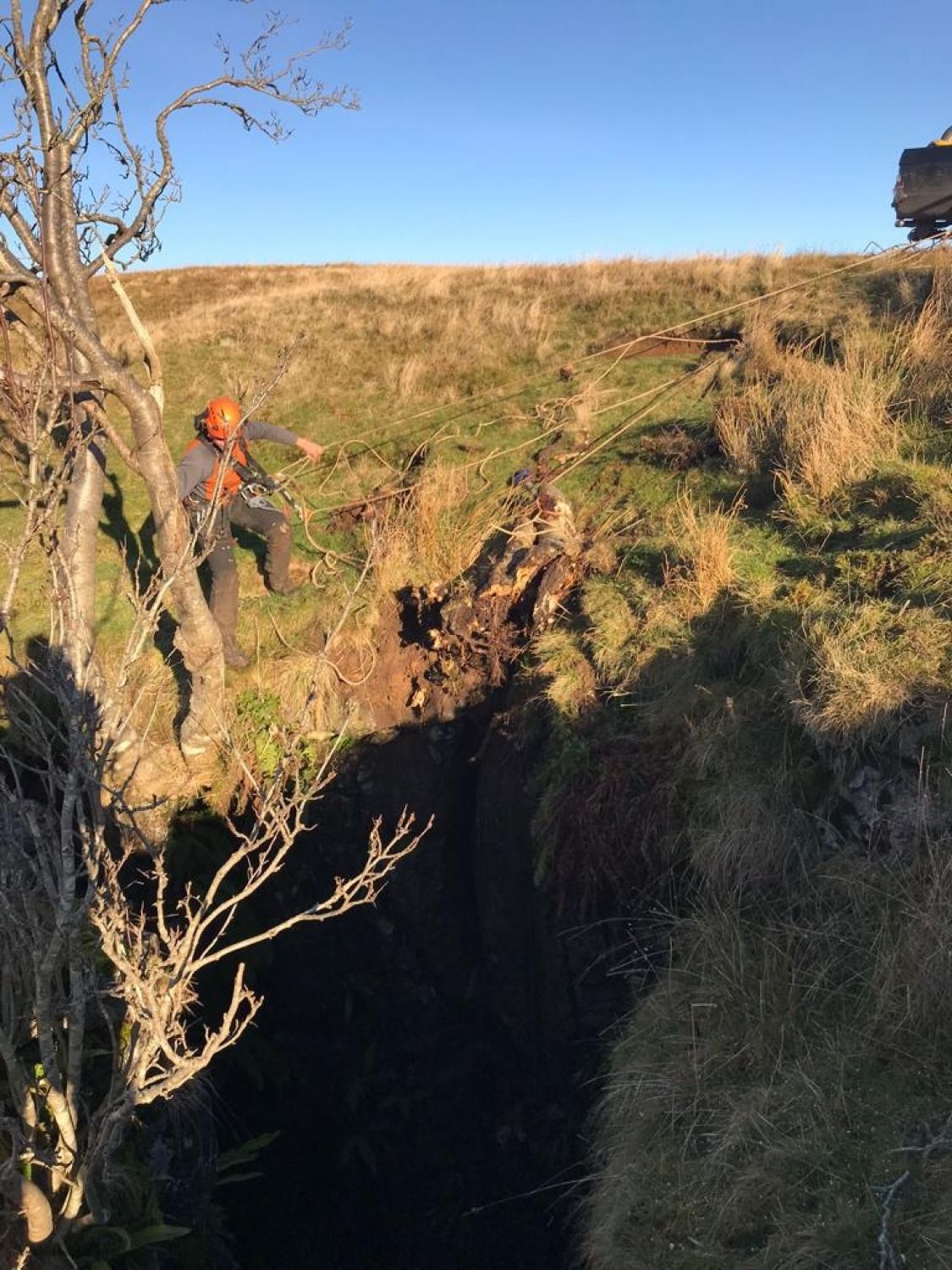 CNCC - Jingling Pot treefall update