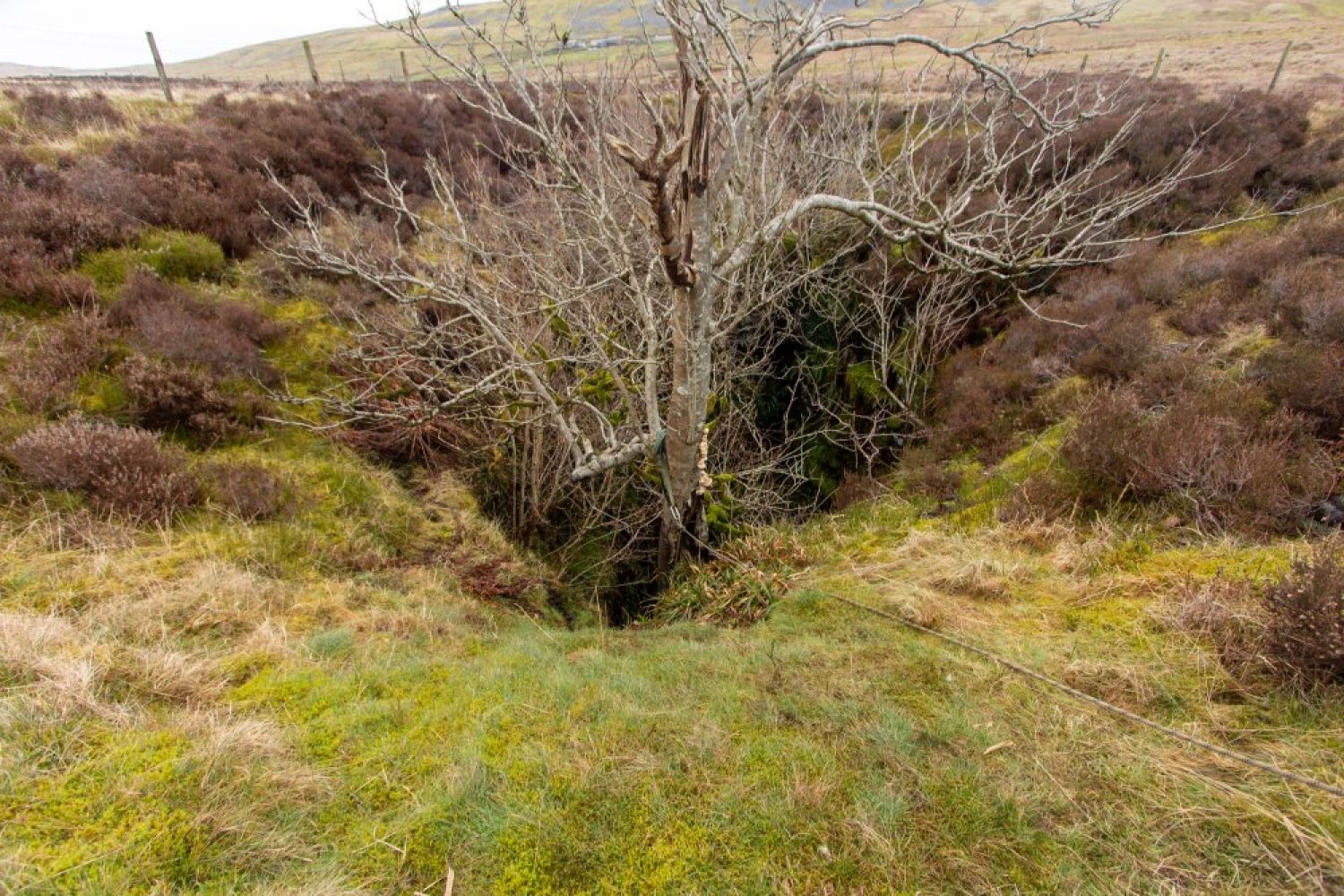 CNCC - Tree warning - Deaths Head Hole